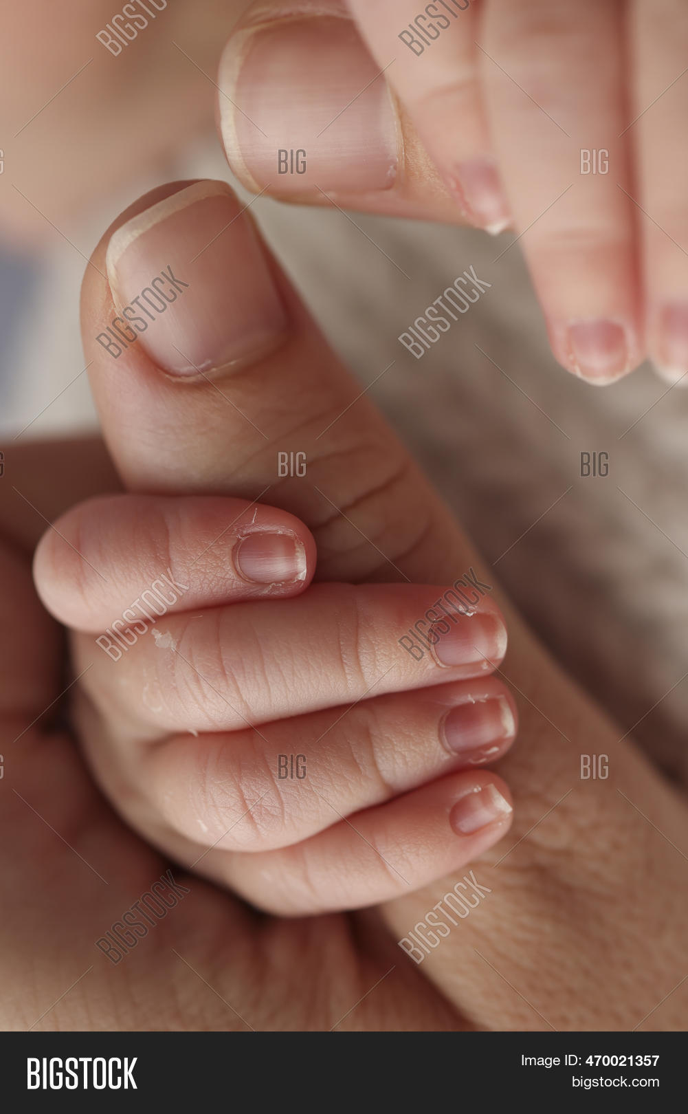 Newborn Baby Has Firm Image & Photo (Free Trial) | Bigstock