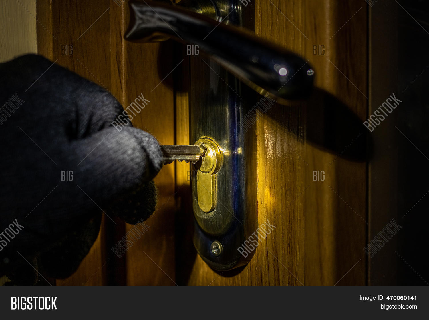 Thief Tries Open Lock Image & Photo (Free Trial) | Bigstock
