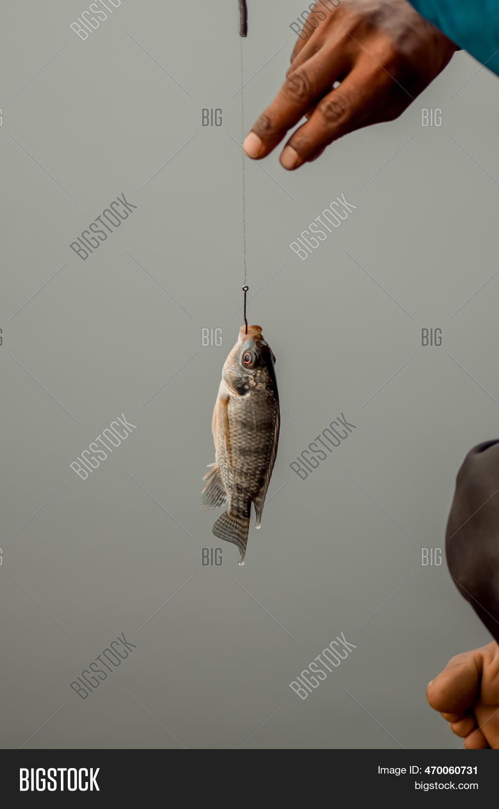 Fish Caught Fishing Image & Photo (Free Trial) | Bigstock