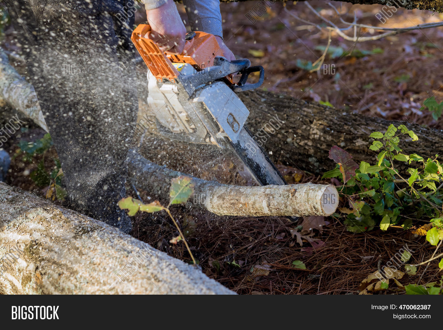 During Aftermath Image & Photo (Free Trial) | Bigstock