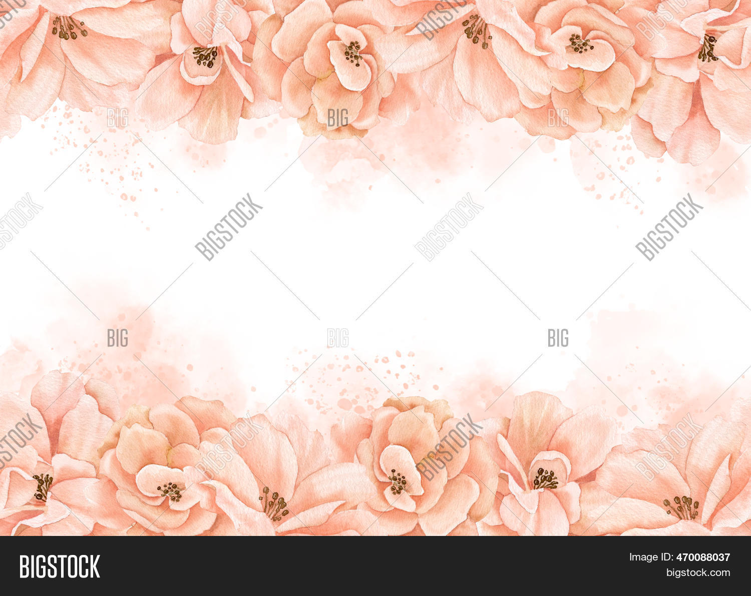Watercolor Border Rose Image & Photo (Free Trial) | Bigstock