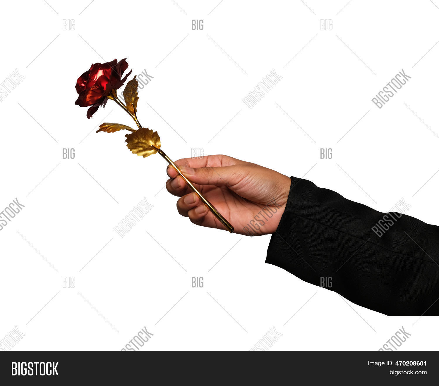Imagen y foto Picture Men Hand (prueba gratis) | Bigstock