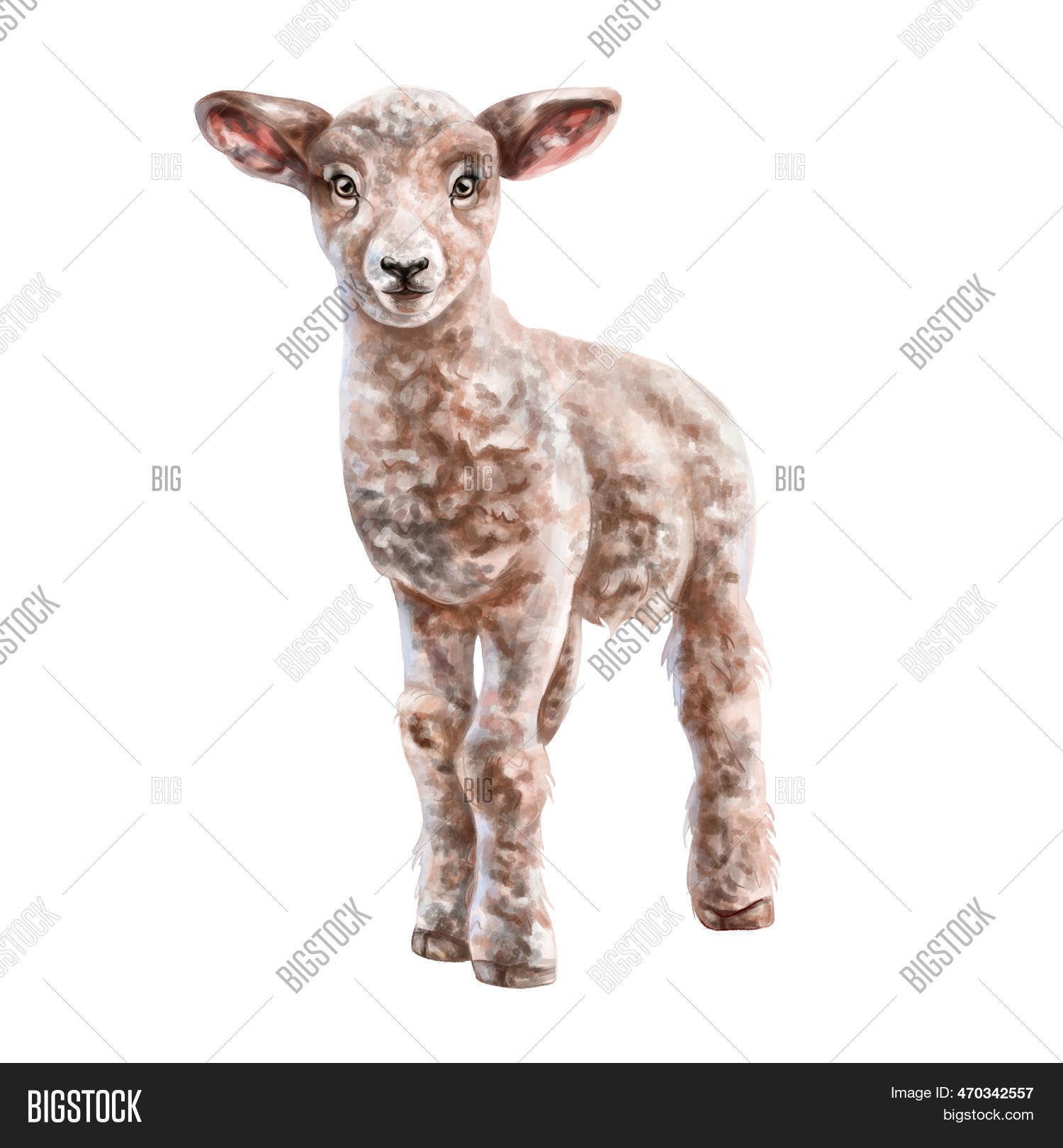 Cute Fluffy Lamb Light Image & Photo (Free Trial) | Bigstock