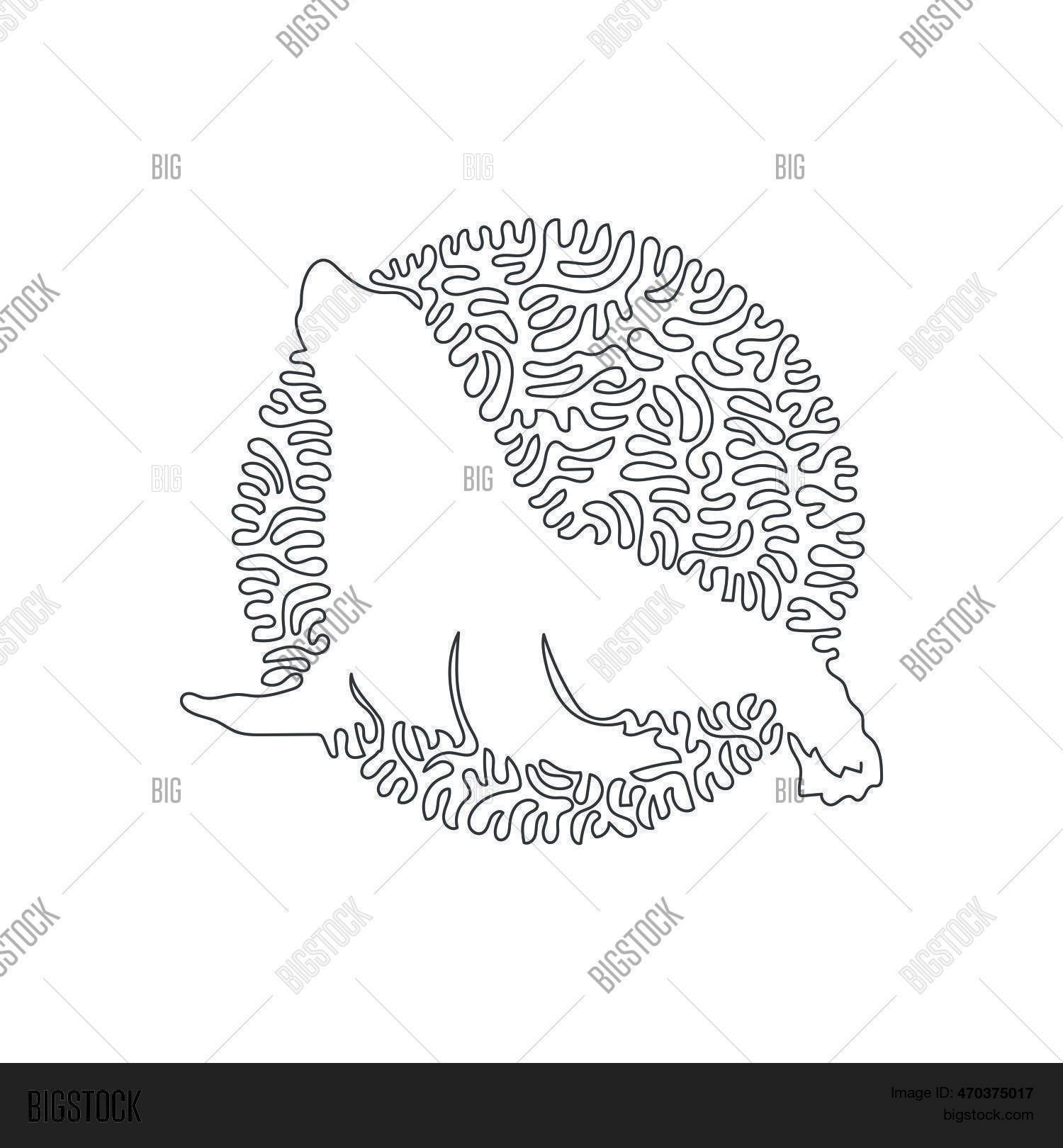 Single Curly One Line Vector & Photo (Free Trial) | Bigstock