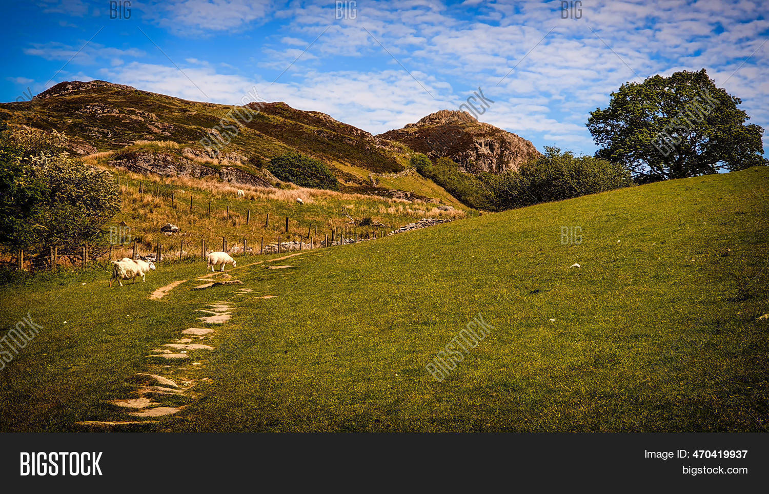 Path Leading Mountains Image & Photo (Free Trial) | Bigstock