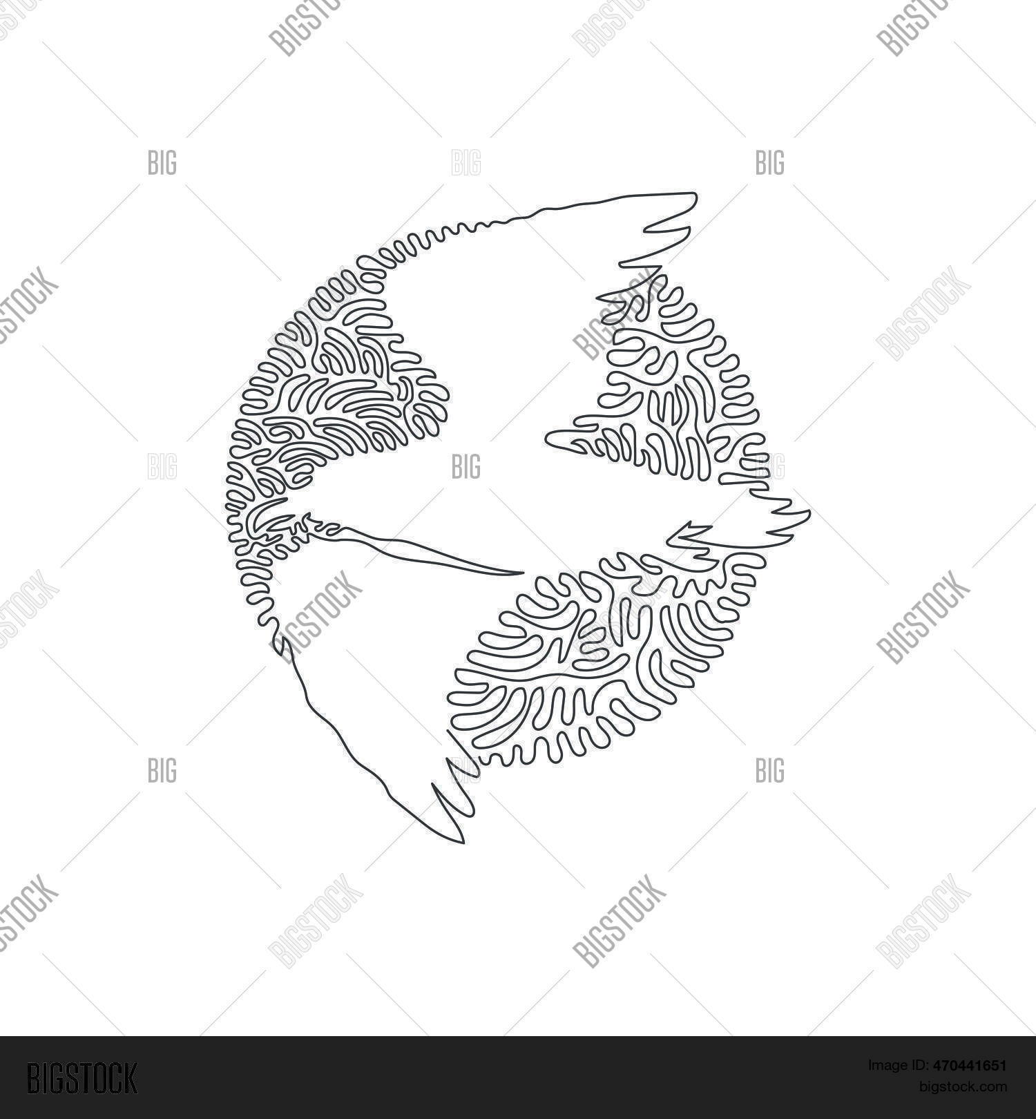 Continuous Curve One Vector & Photo (Free Trial) | Bigstock