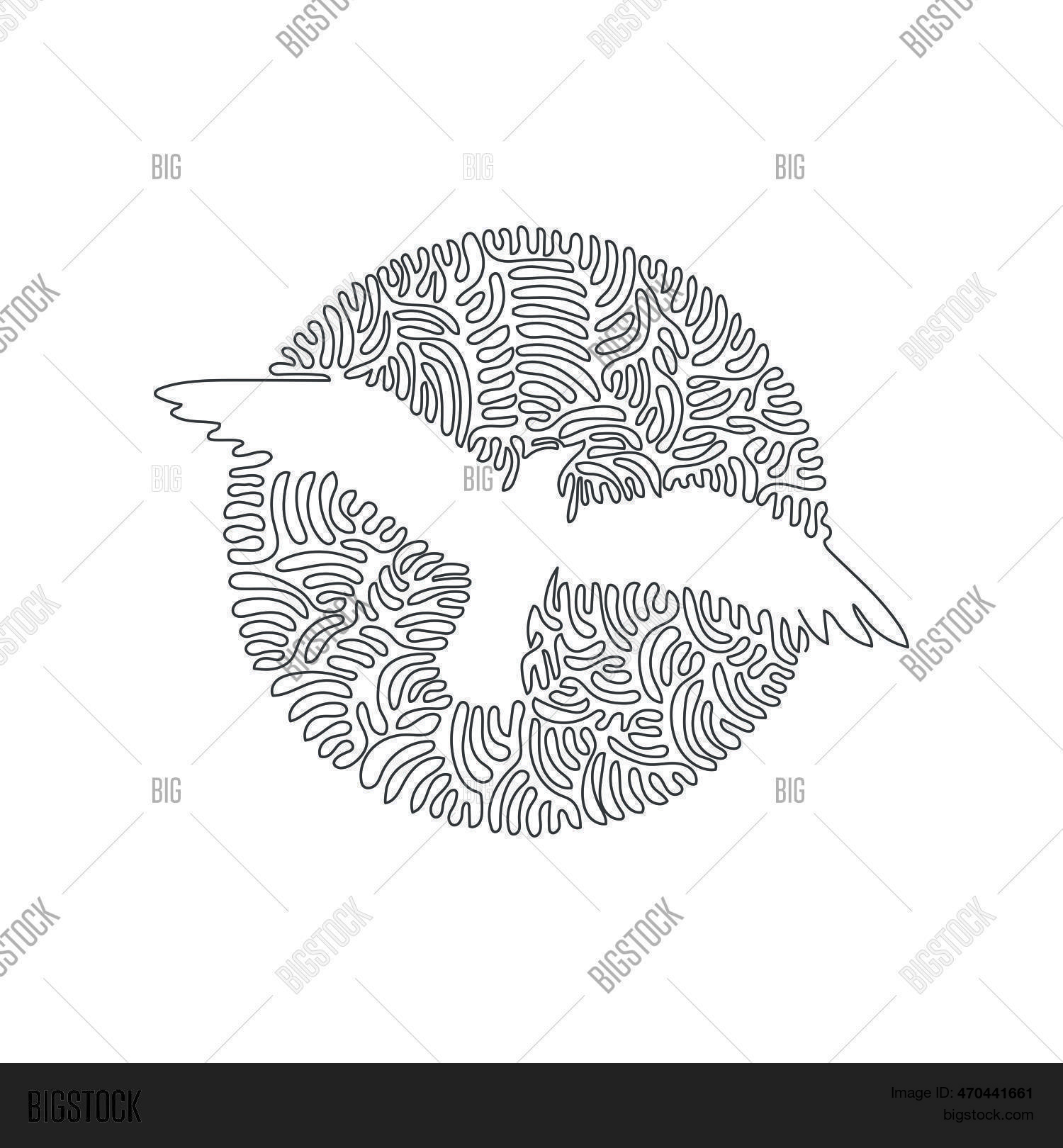 Continuous One Curve Vector & Photo (Free Trial) | Bigstock