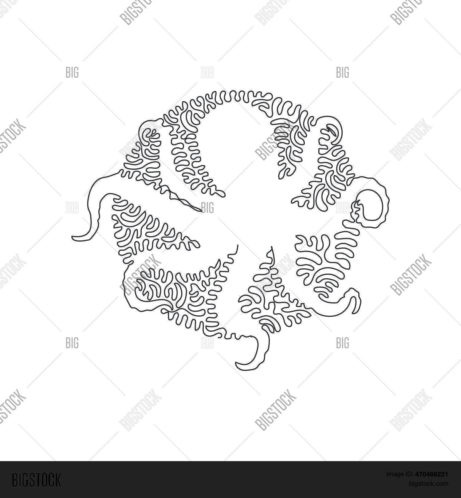 Continuous One Curve Vector & Photo (Free Trial) | Bigstock