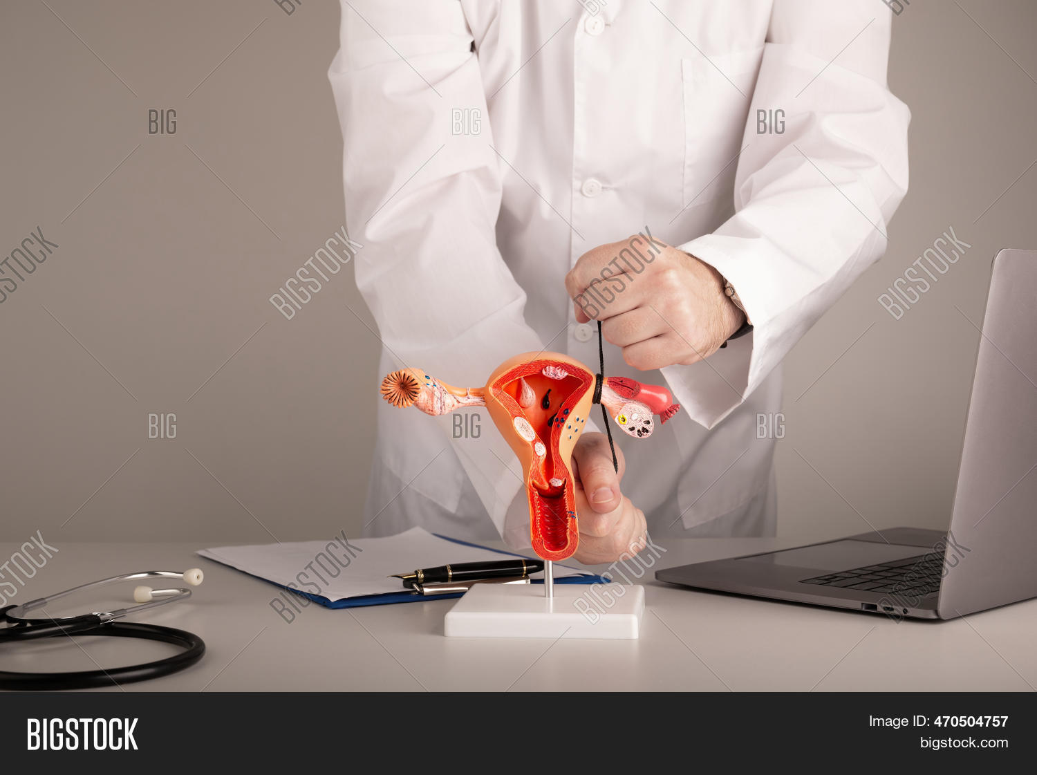 Gynecologist Shows How Image & Photo (Free Trial) | Bigstock