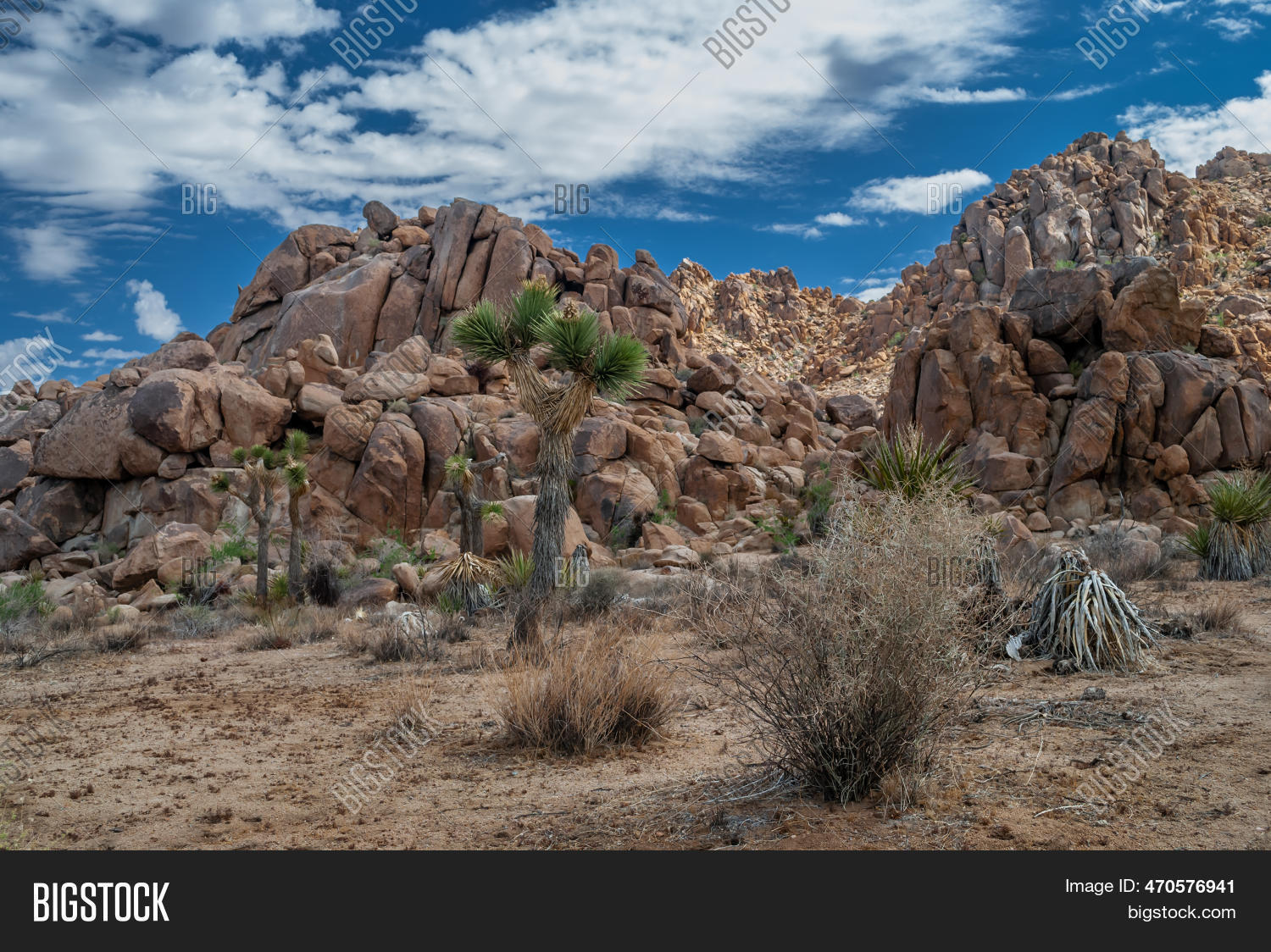 Scenic Look Inside Image & Photo (Free Trial) | Bigstock