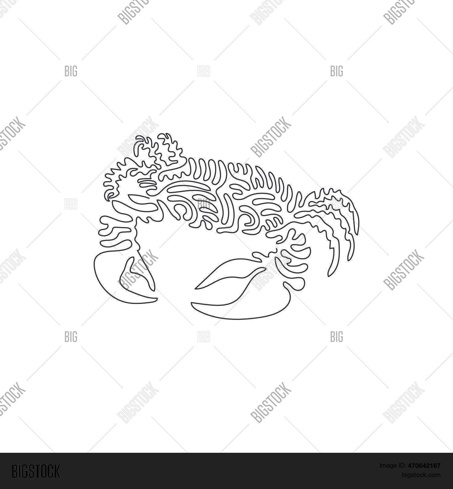 Continuous Curve One Vector And Photo Free Trial Bigstock