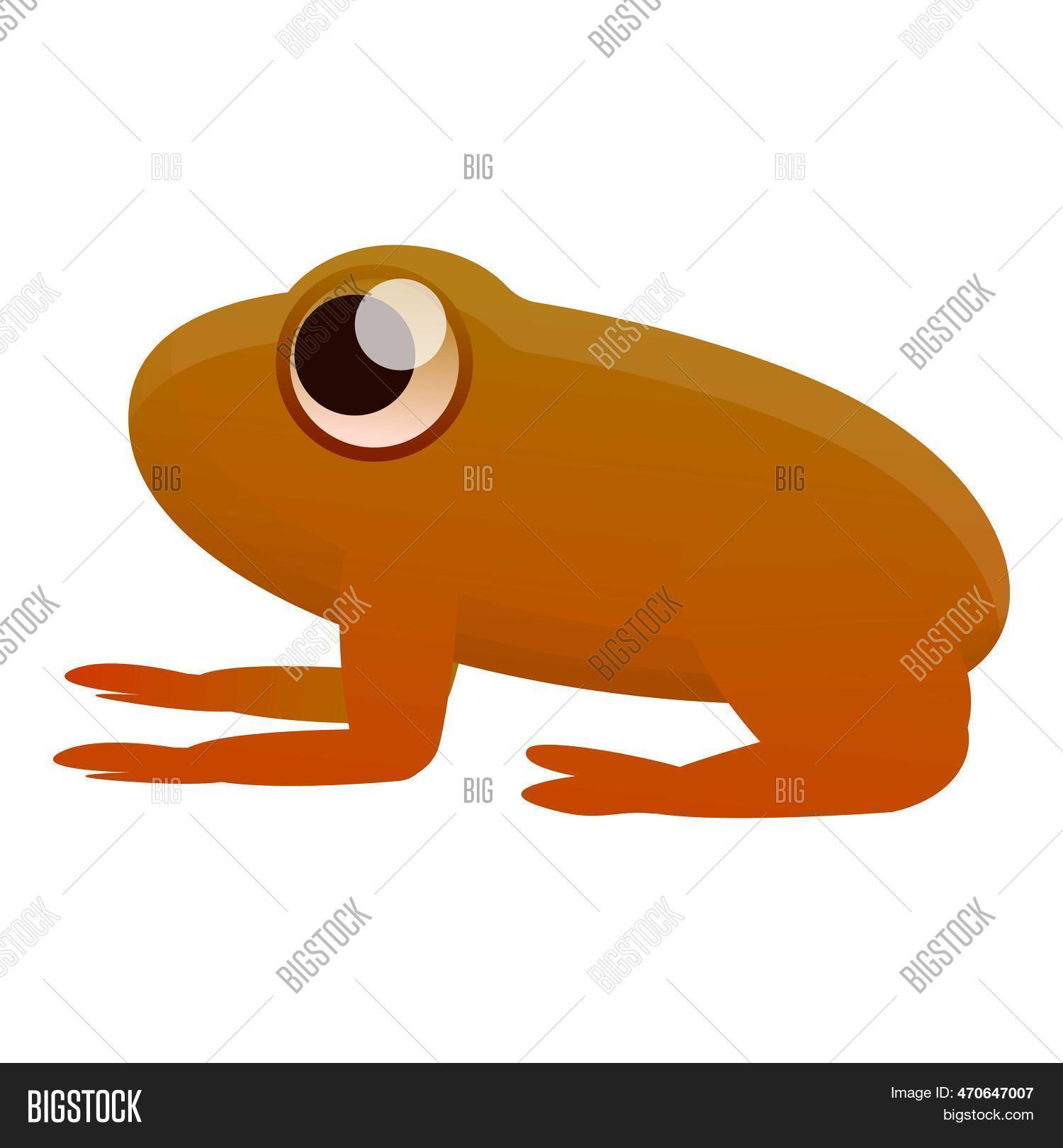 Red Frog Icon. Cartoon Image & Photo (Free Trial) | Bigstock