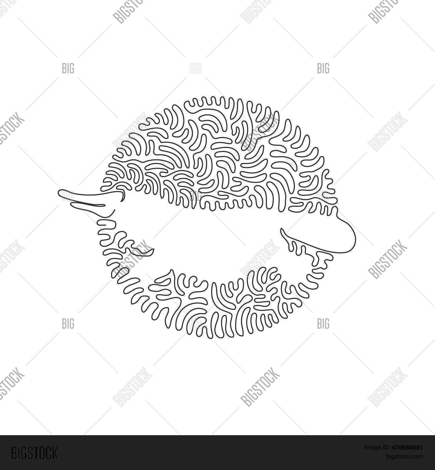 Continuous One Curve Vector And Photo Free Trial Bigstock