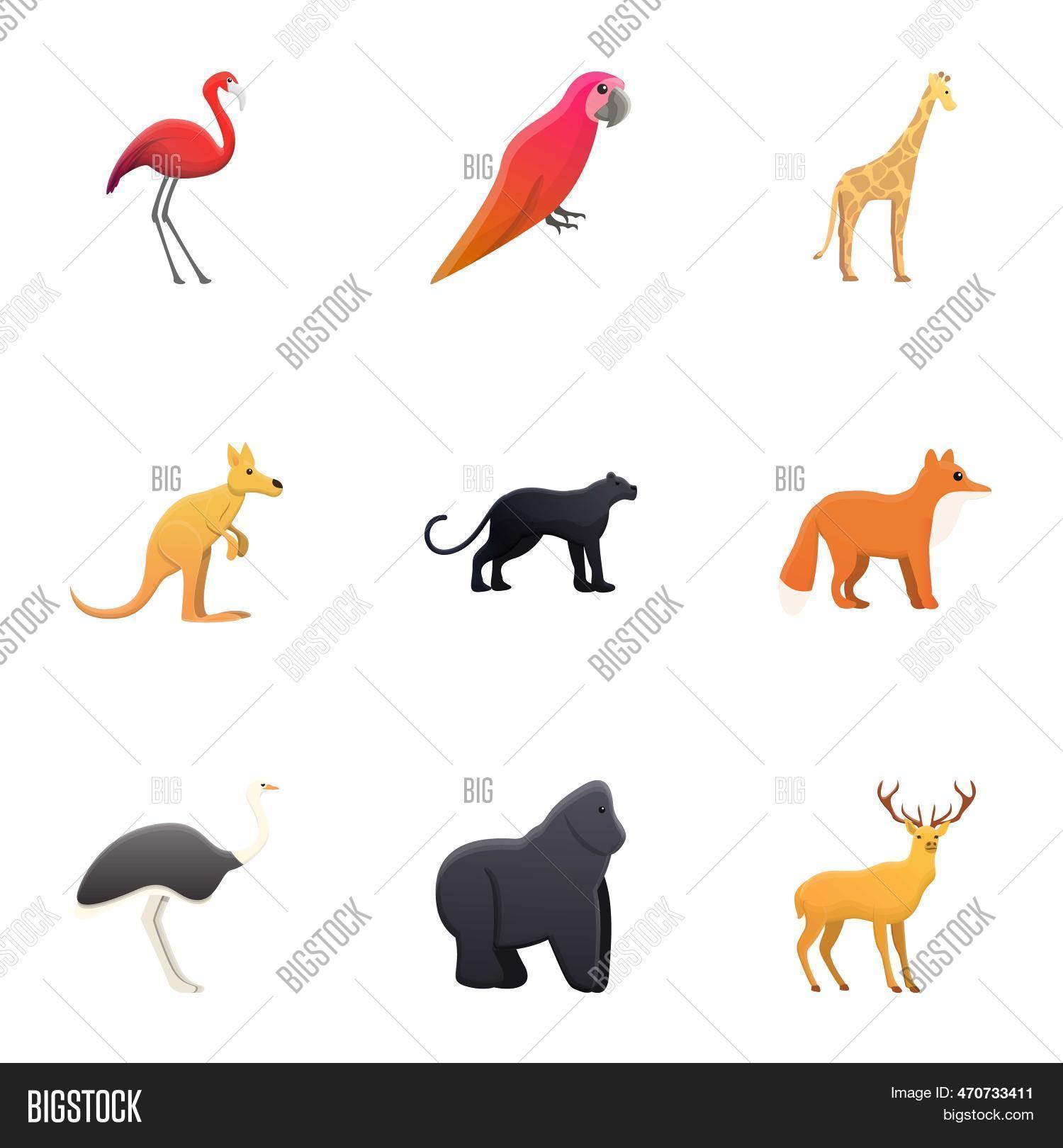 Zoo Animals Icon Set. Image & Photo (Free Trial) | Bigstock
