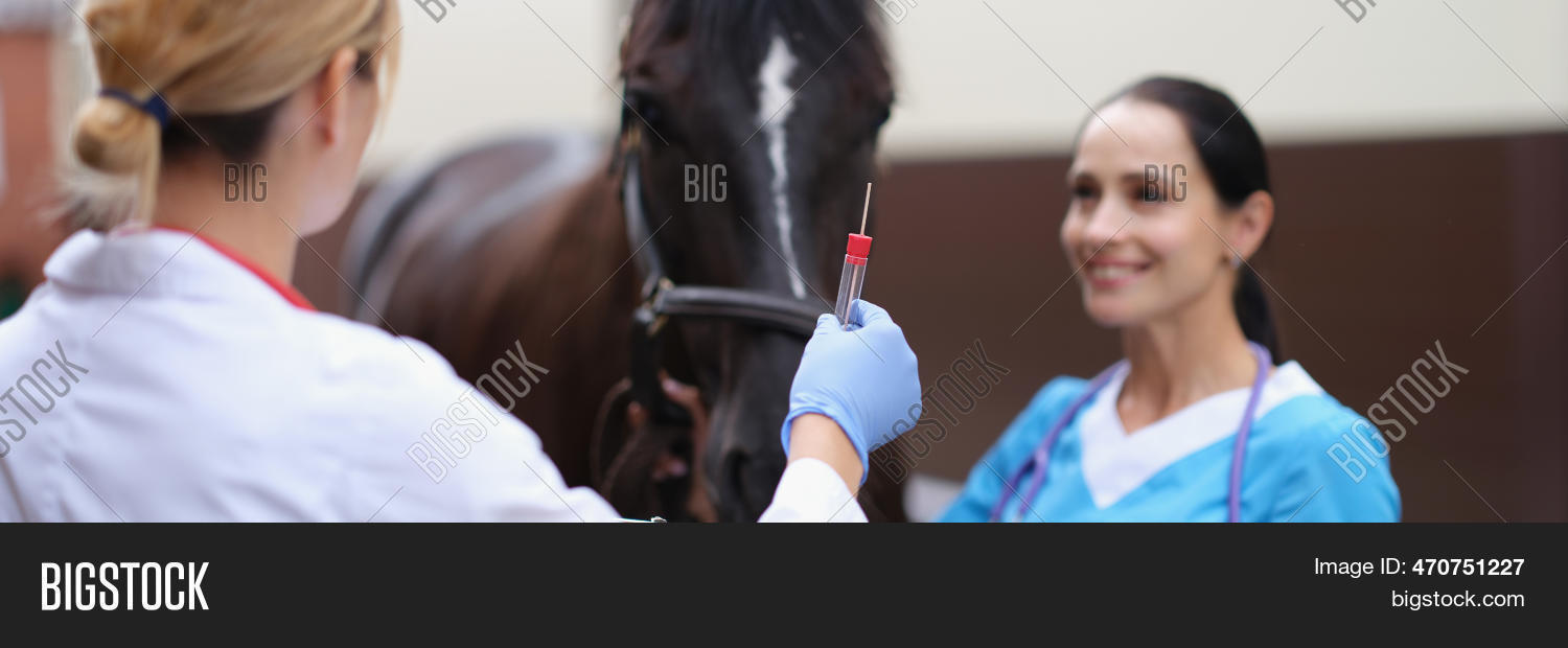 Two Veterinarians Image & Photo (Free Trial) | Bigstock