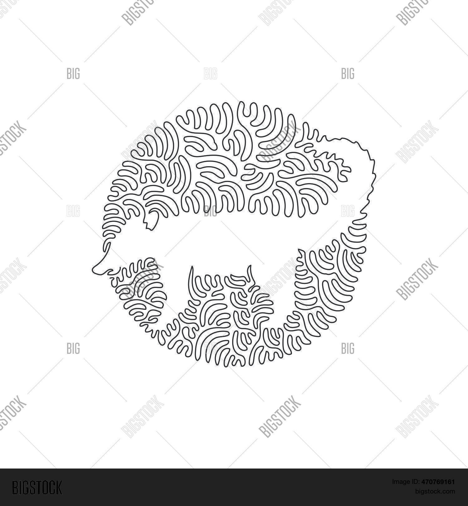 Continuous Curve One Vector & Photo (Free Trial) | Bigstock