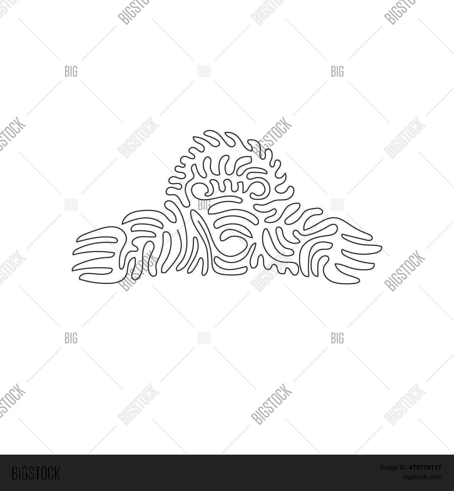 Single Curly One Line Vector & Photo (Free Trial) | Bigstock