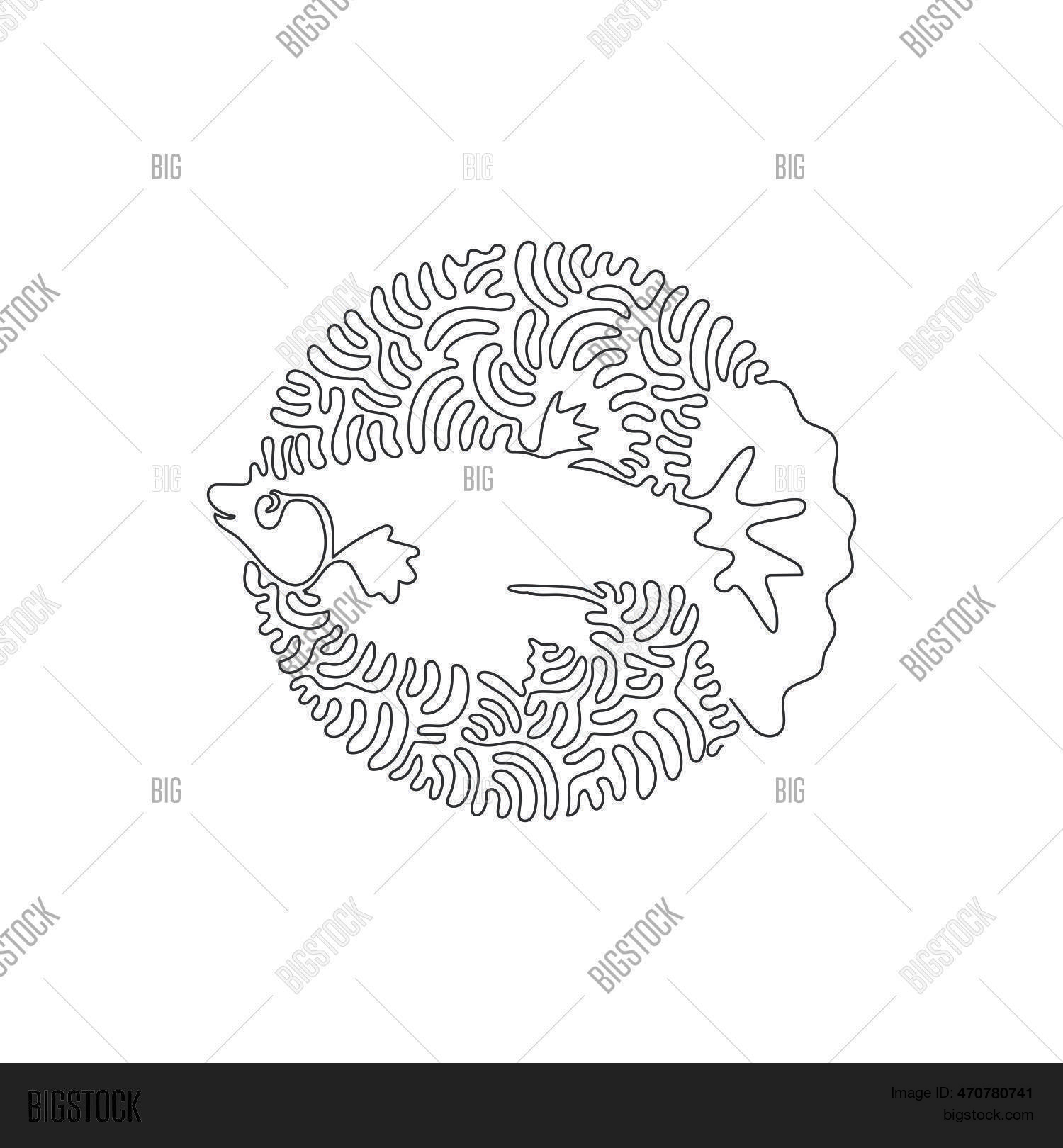 Single Curly Line Vector & Photo (Free Trial) | Bigstock