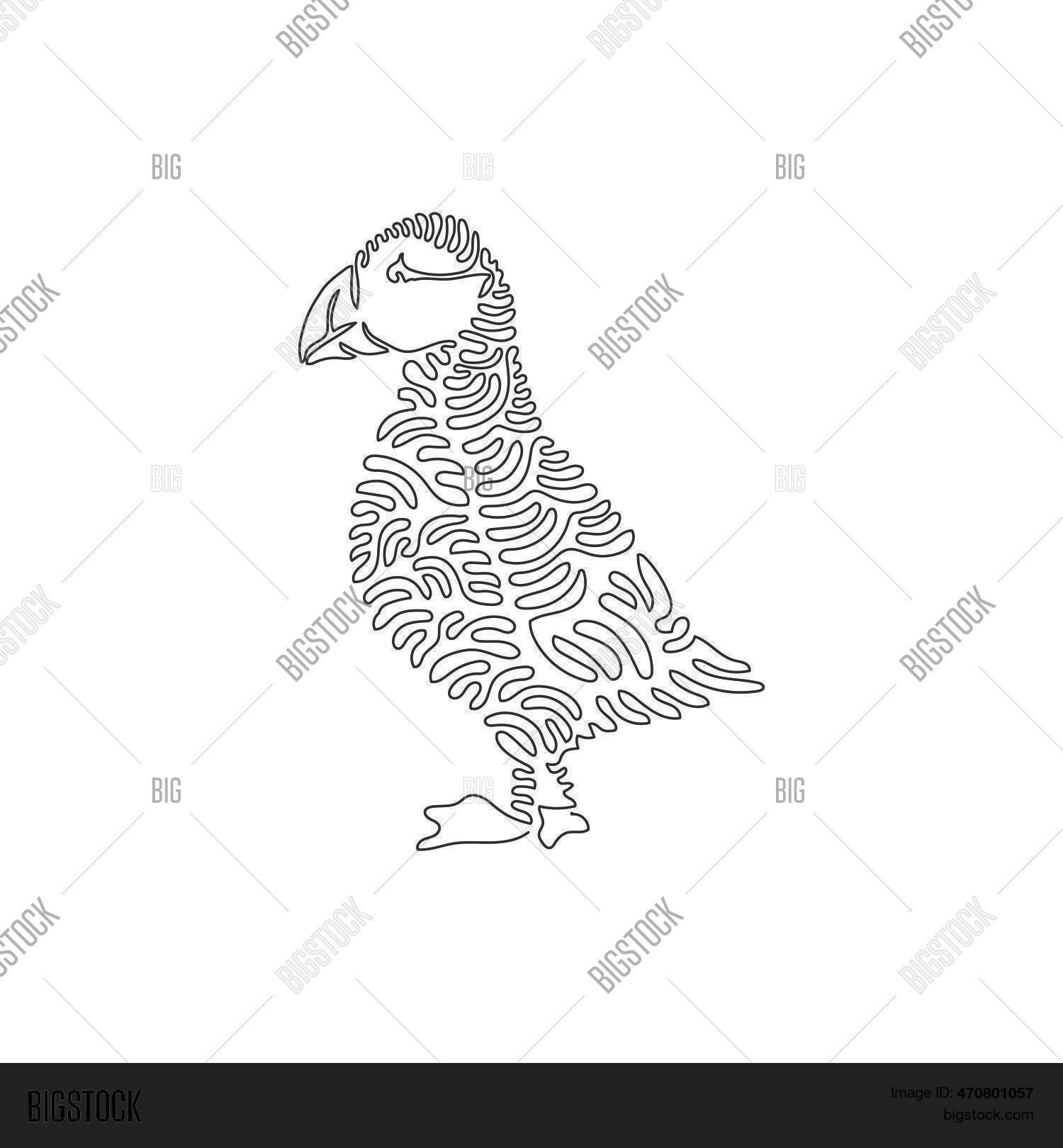 Single Swirl Vector & Photo (Free Trial) | Bigstock