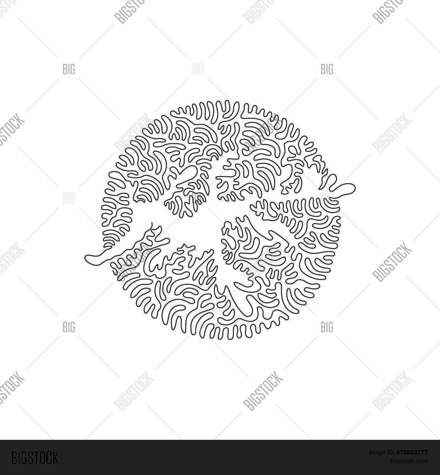 Single Curly One Line Vector & Photo (Free Trial) | Bigstock