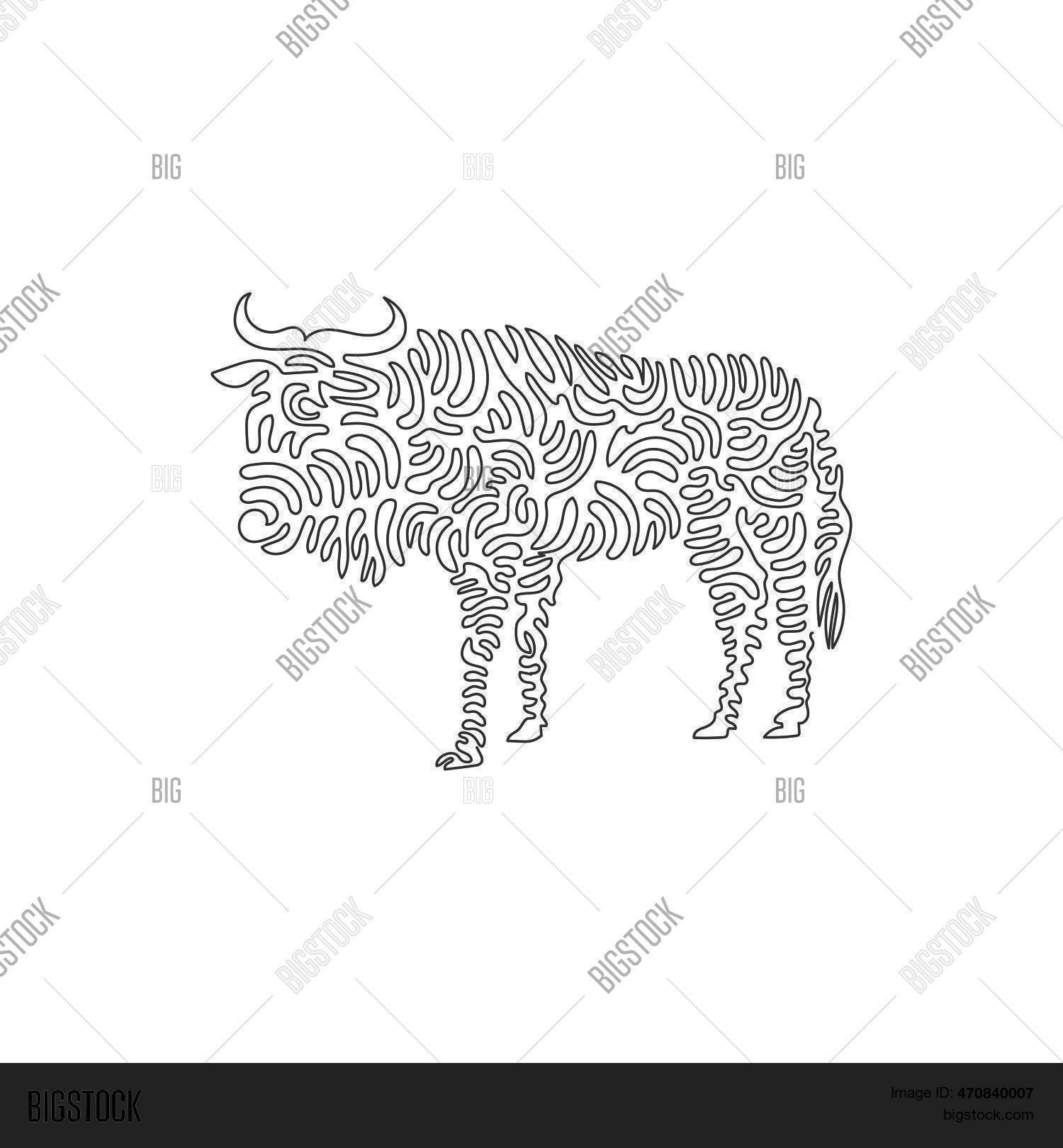 Single Curly One Line Vector & Photo (Free Trial) | Bigstock