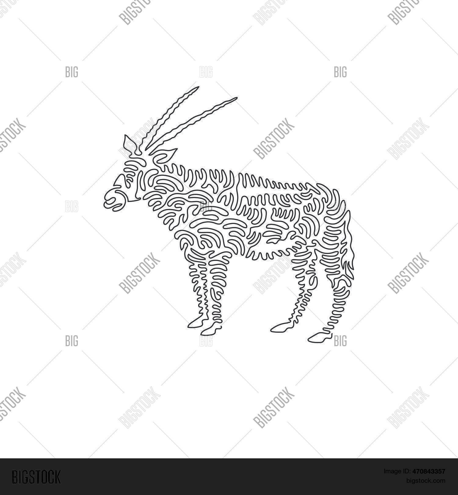 Continuous Curve One Vector & Photo (Free Trial) | Bigstock