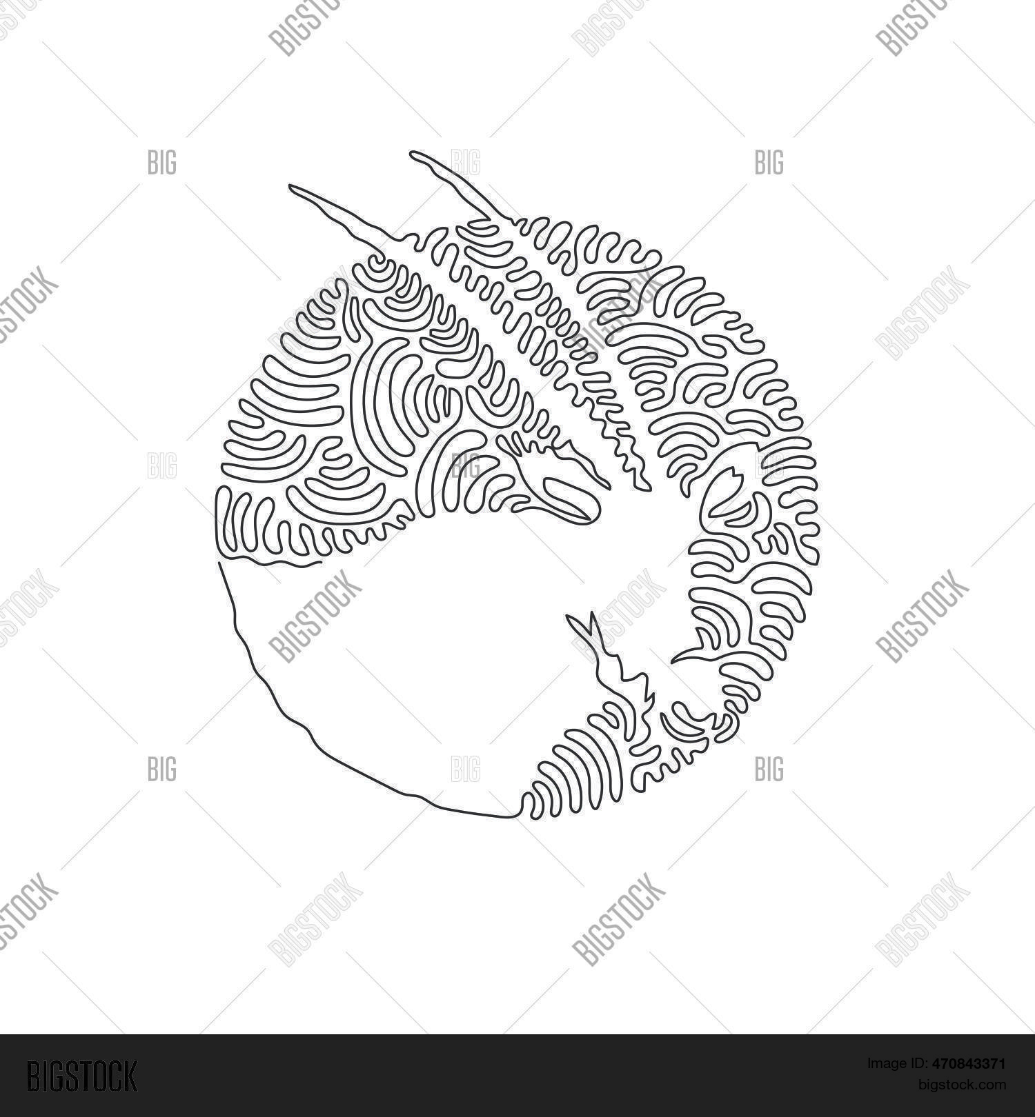 Single One Curly Line Vector & Photo (Free Trial) | Bigstock