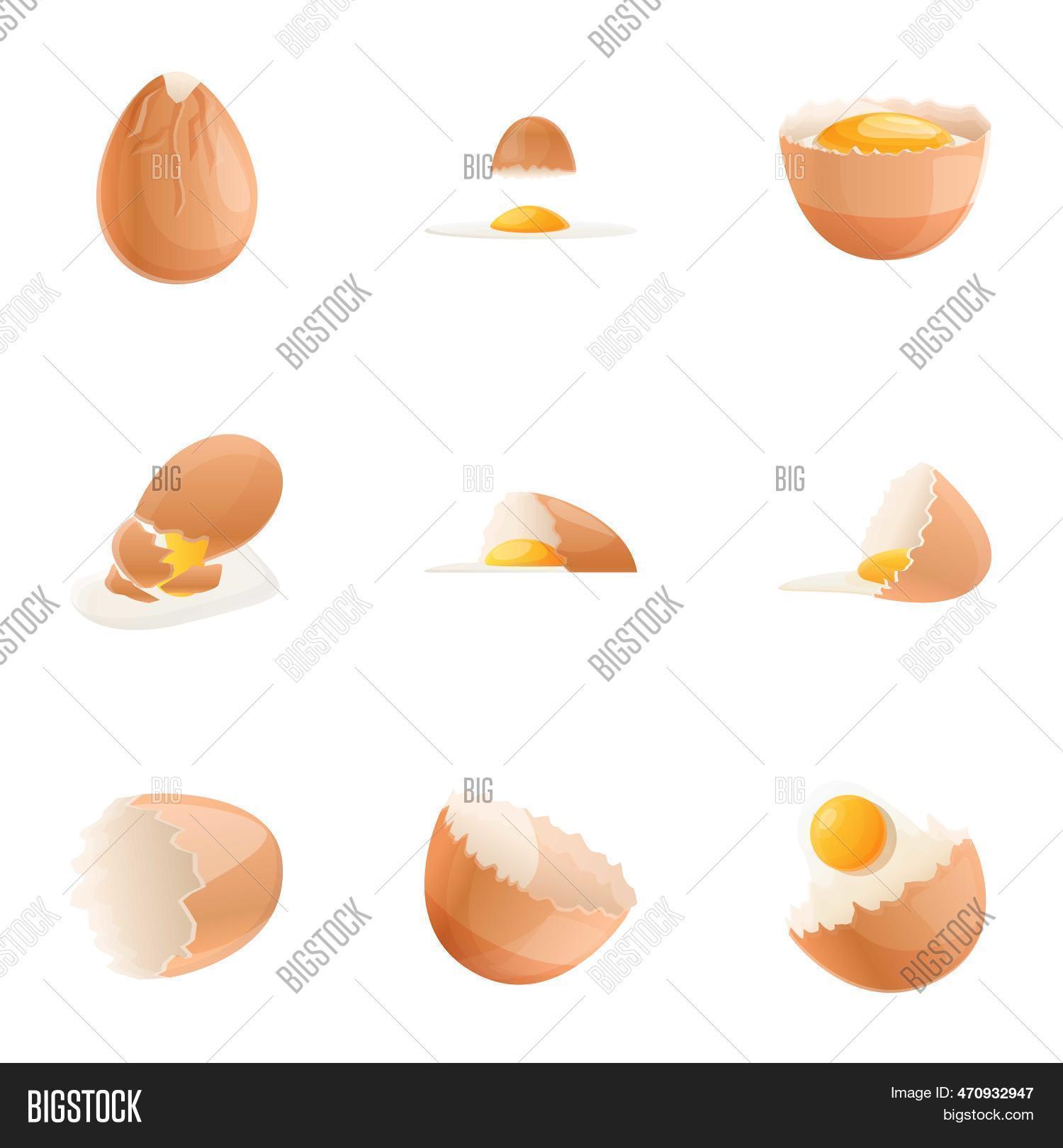 Yolk Eggshell Icon Set Image & Photo (Free Trial) | Bigstock