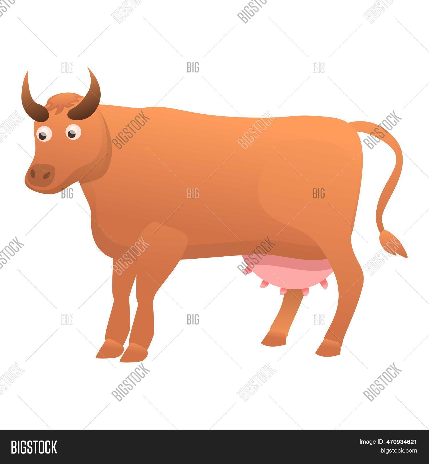 Dairy Cow Icon. Image & Photo (Free Trial) | Bigstock