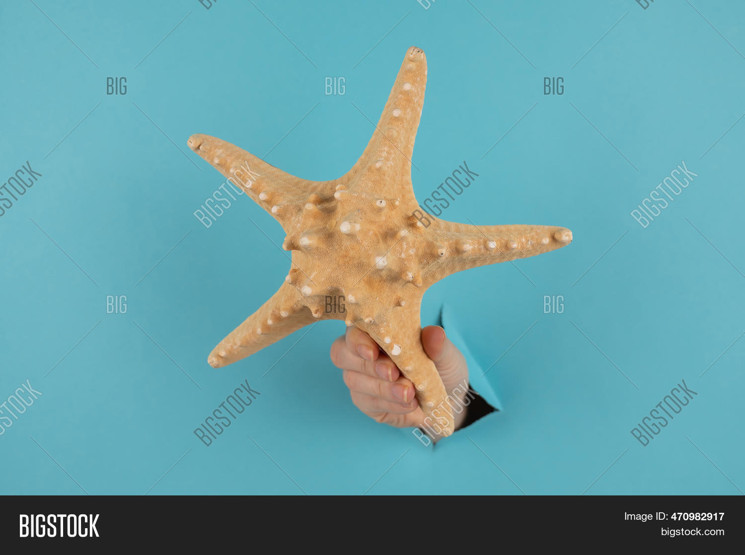 Hand Starfish Sticking Image & Photo (Free Trial) | Bigstock