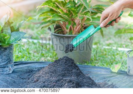 Preparation Soil Image & Photo (Free Trial) | Bigstock