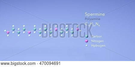 Spermine Molecule, Image & Photo (Free Trial) | Bigstock