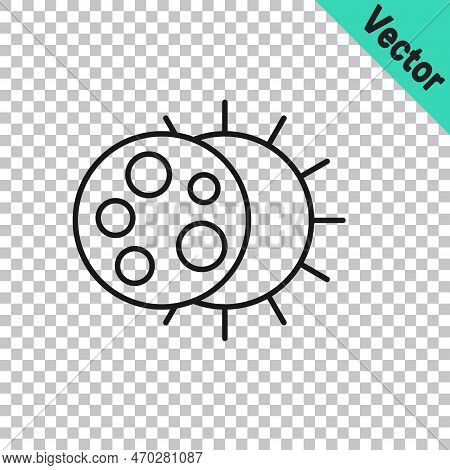 Black Line Eclipse Vector & Photo (Free Trial) | Bigstock