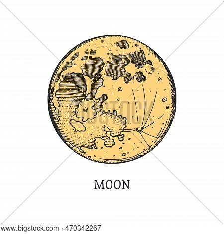 Moon Vector Vector & Photo (Free Trial) | Bigstock