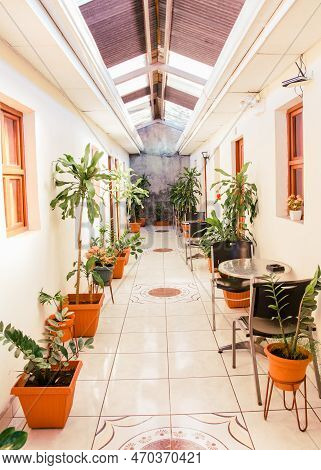 Hotel Corridor Pots Image & Photo (Free Trial) | Bigstock