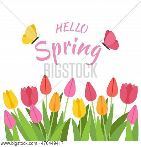 Hello Spring Card Vector & Photo (Free Trial) | Bigstock