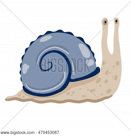 Spiral Shell Snail Vector & Photo (Free Trial) | Bigstock