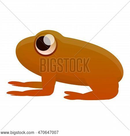 Red Frog Icon. Cartoon Image & Photo (Free Trial) | Bigstock