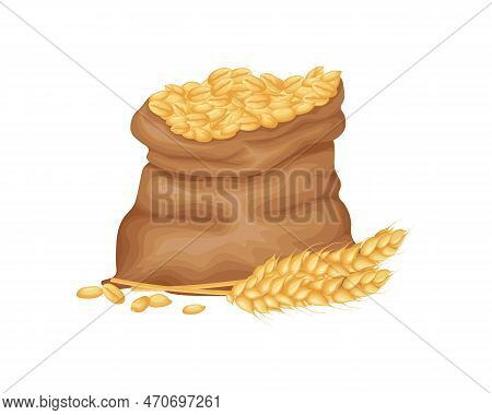 Bag Wheat. Bag Filled Vector & Photo (Free Trial) | Bigstock