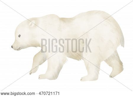 Little White Bear Cub Image & Photo (Free Trial) | Bigstock