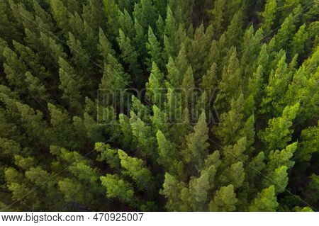 Aerial View Dark Green Image & Photo (Free Trial) | Bigstock