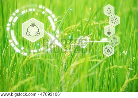 Smart Farm, Nature Image & Photo (Free Trial) | Bigstock