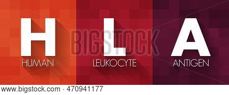 Hla Human Leukocyte Image & Photo (Free Trial) | Bigstock
