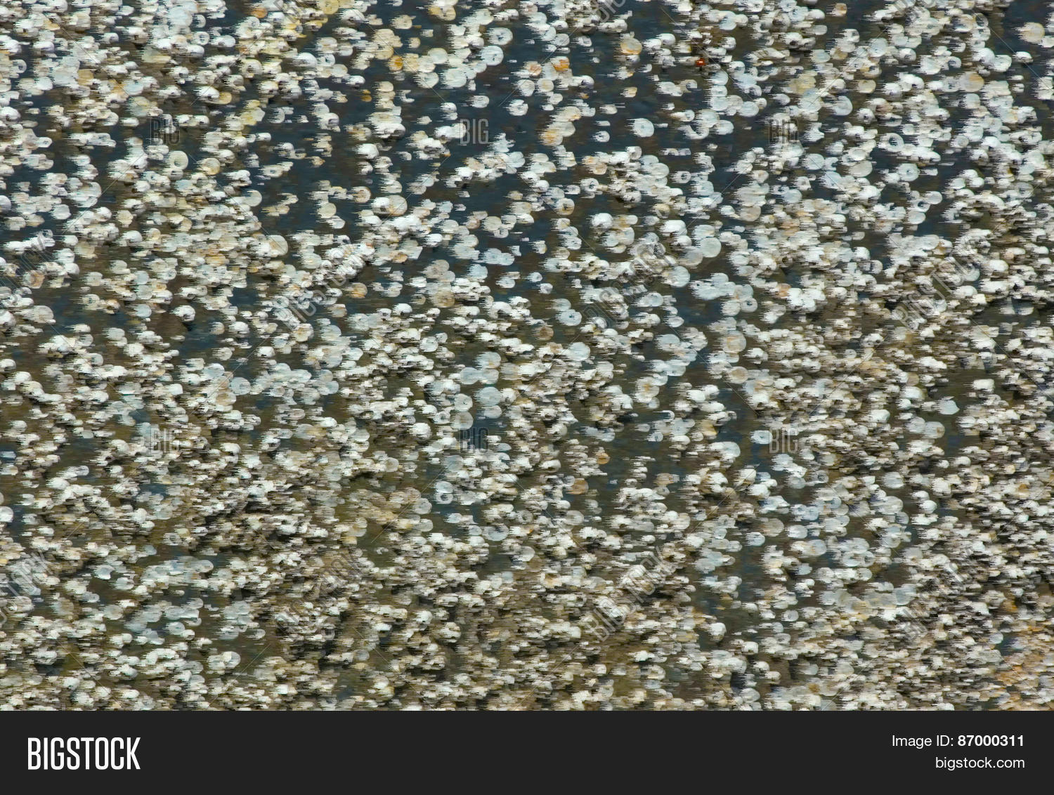Granular Background Image & Photo (Free Trial) | Bigstock