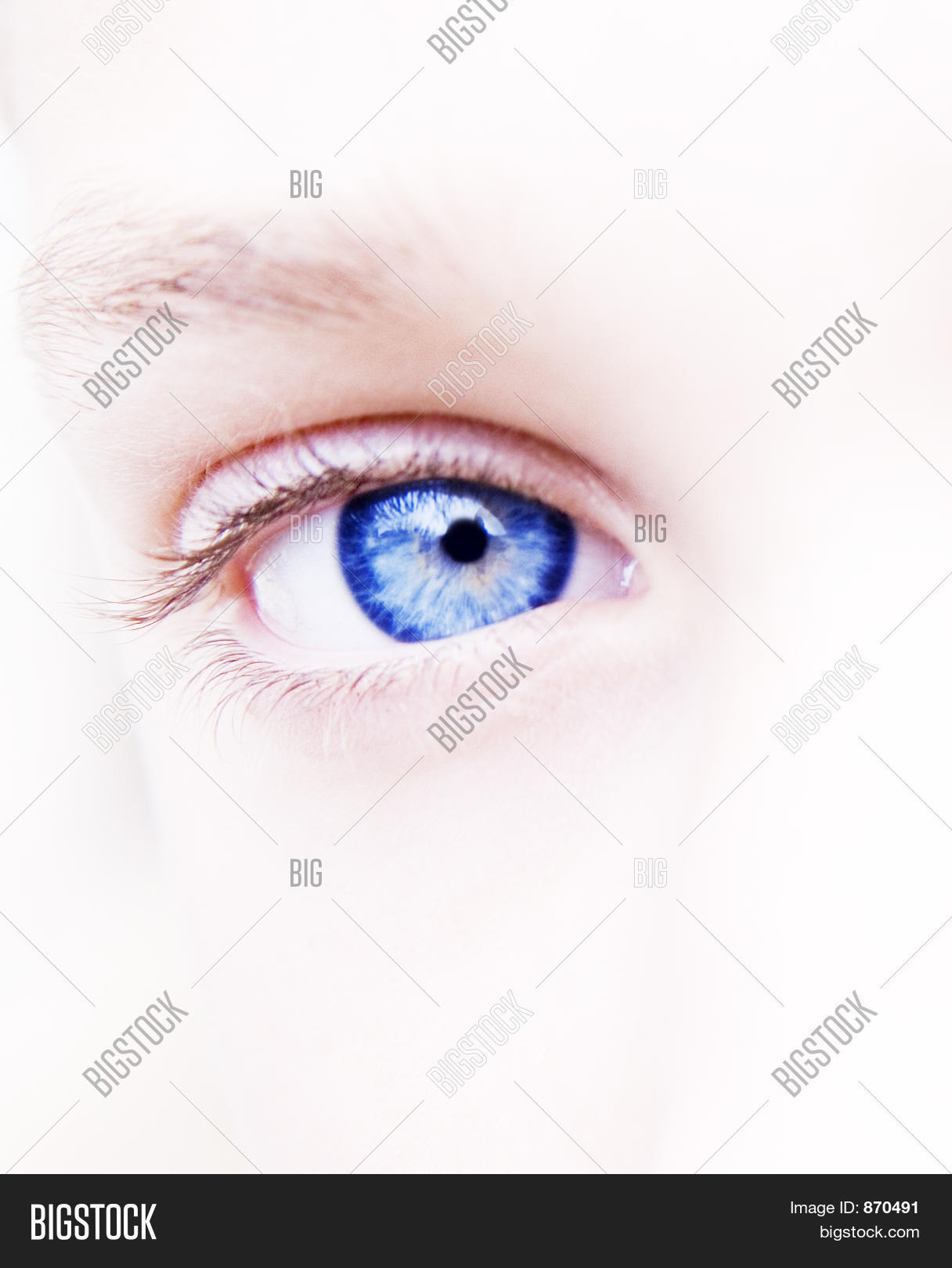 Woman Blue Eye Image & Photo (Free Trial) | Bigstock
