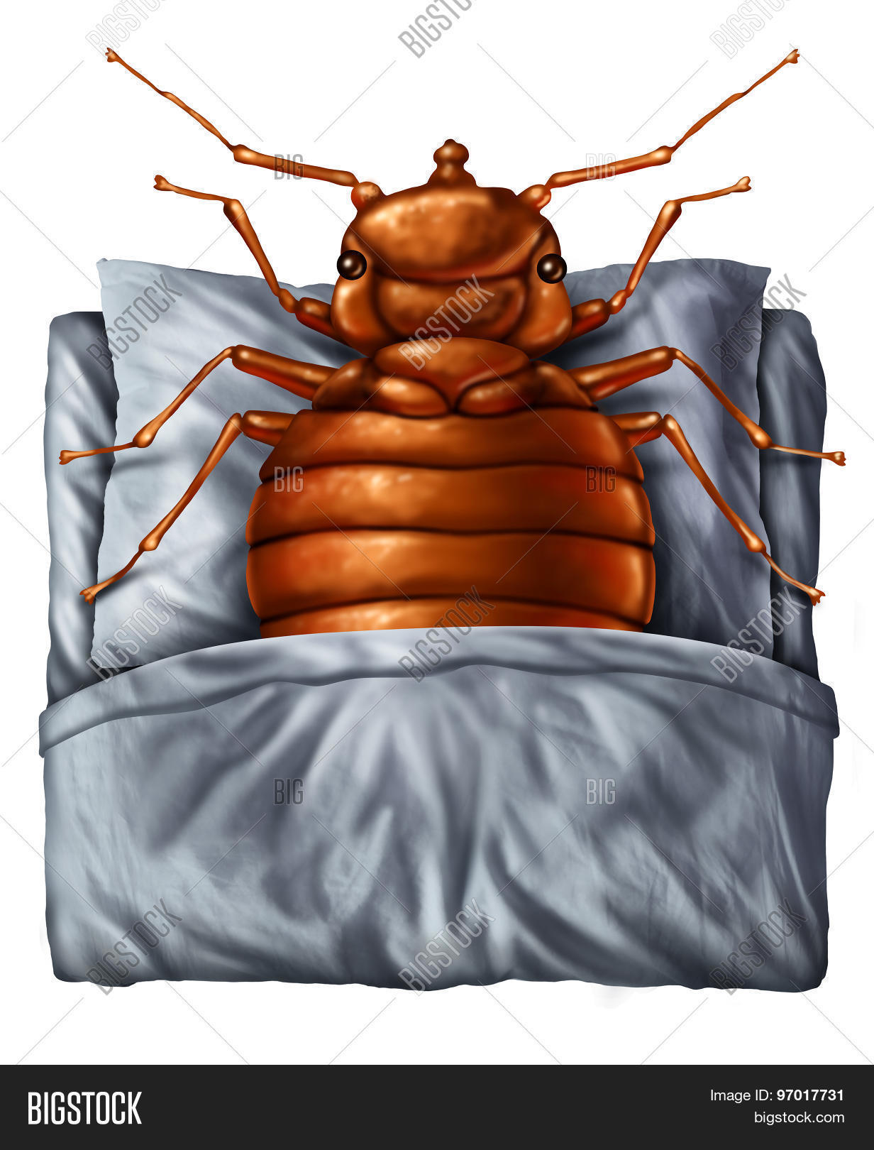 Bedbug Concept Image & Photo (Free Trial) | Bigstock