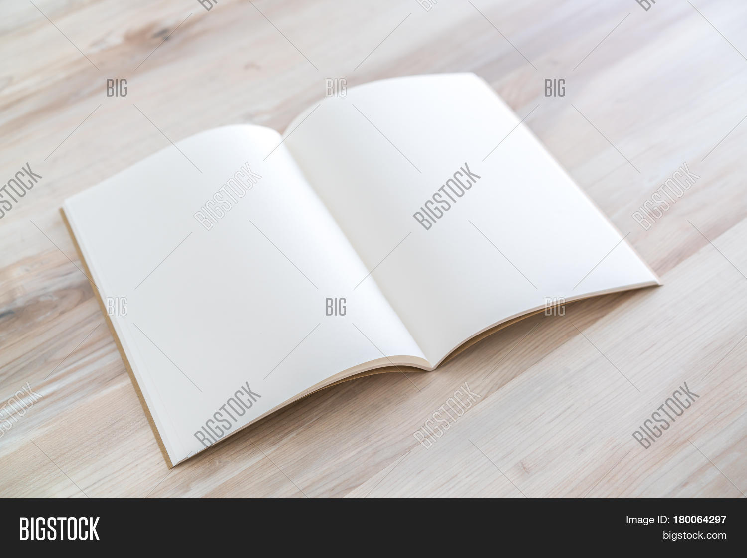 Blank Catalog, Image & Photo (Free Trial) | Bigstock
