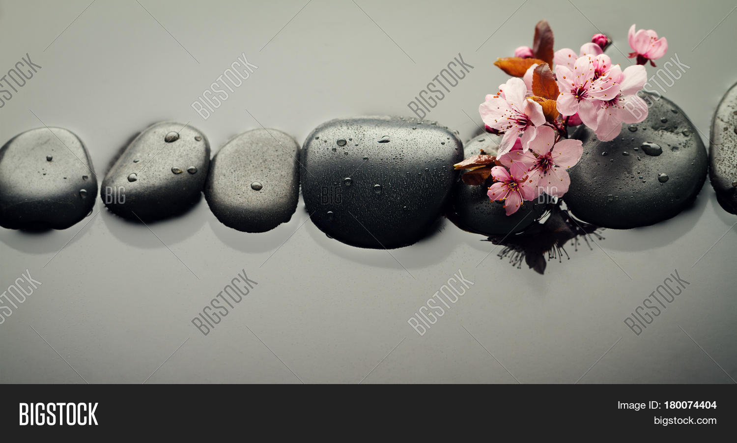 Beautiful Pink Spa Image & Photo (Free Trial) | Bigstock