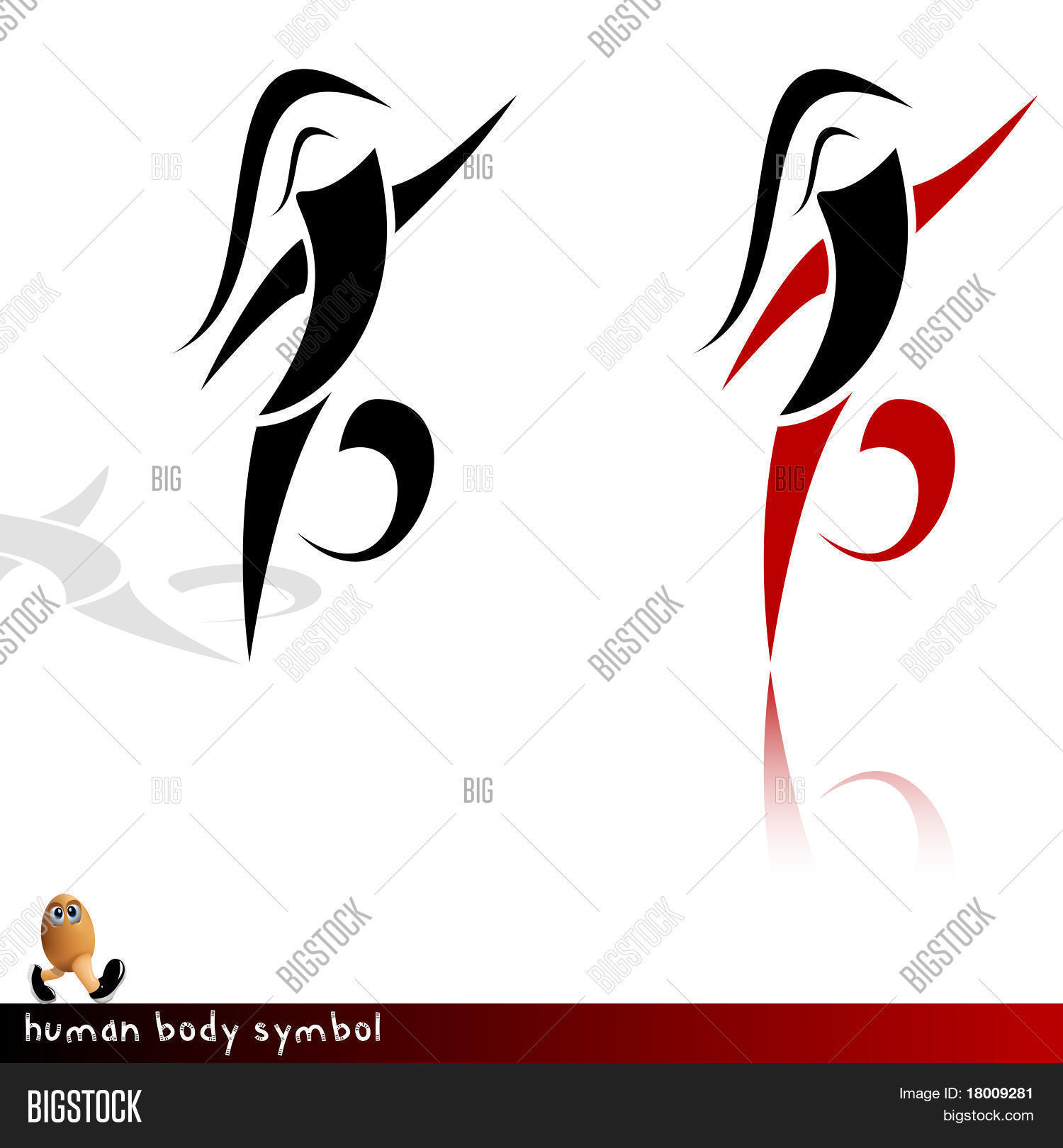 Human Body Symbols Image & Photo (Free Trial) | Bigstock