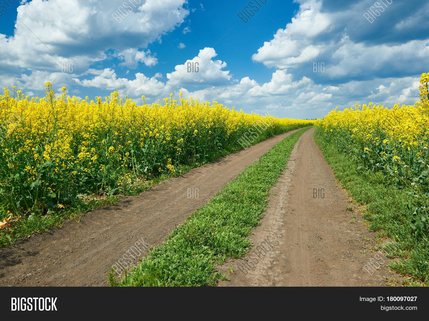 Ground Road Yellow Image & Photo (Free Trial) | Bigstock